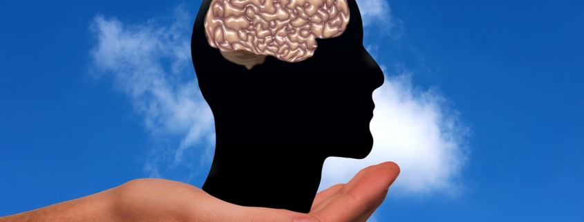 Le cerveau : véritable frein à la perte de poids durable ! | Dr Meurgey